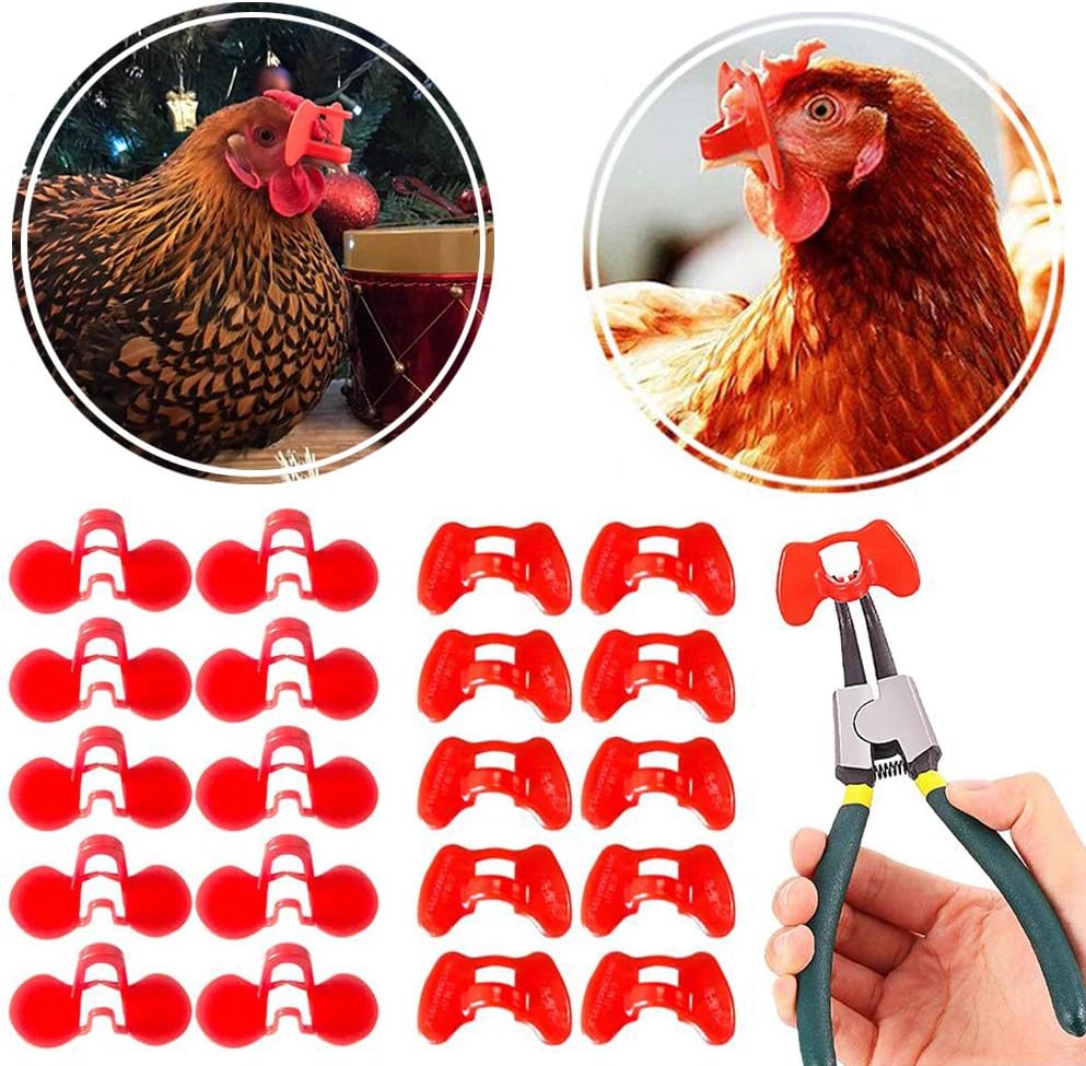 Amazon.com : DSSPORT 41 Pieces Pinless Peepers with Pliers Set Chicken ...