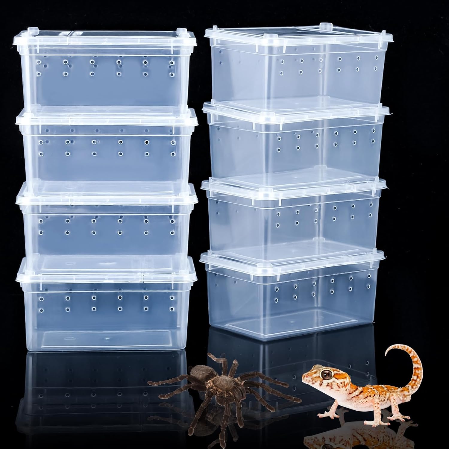 Amazon.com : 8 Pcs Spider Terrariums Breeding Box Hatching Container ...