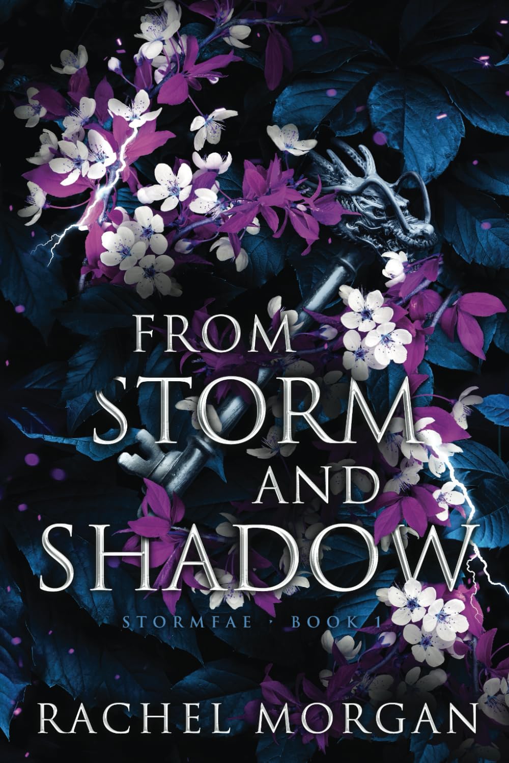 Amazon.com: From Storm and Shadow (Stormfae): 9781928510499: Morgan ...