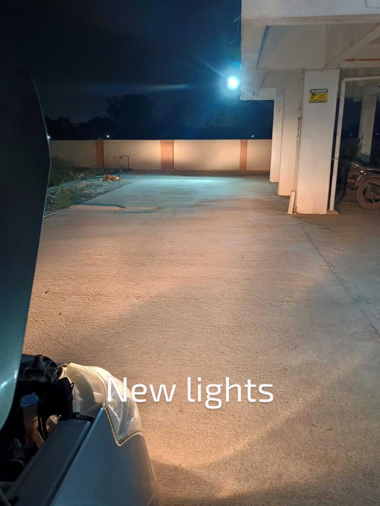 PHILIPS Racing Vision H7 Headlight Bulbs 12972Rvs2 12V 55W (Available ...