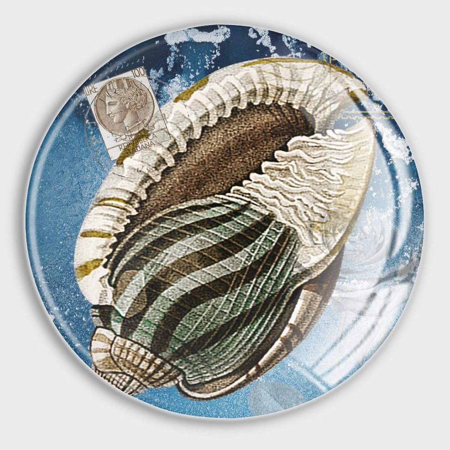 Amazon.com: ArogGeld Conch Fridge Magnets Magnetic Whiteboard for ...