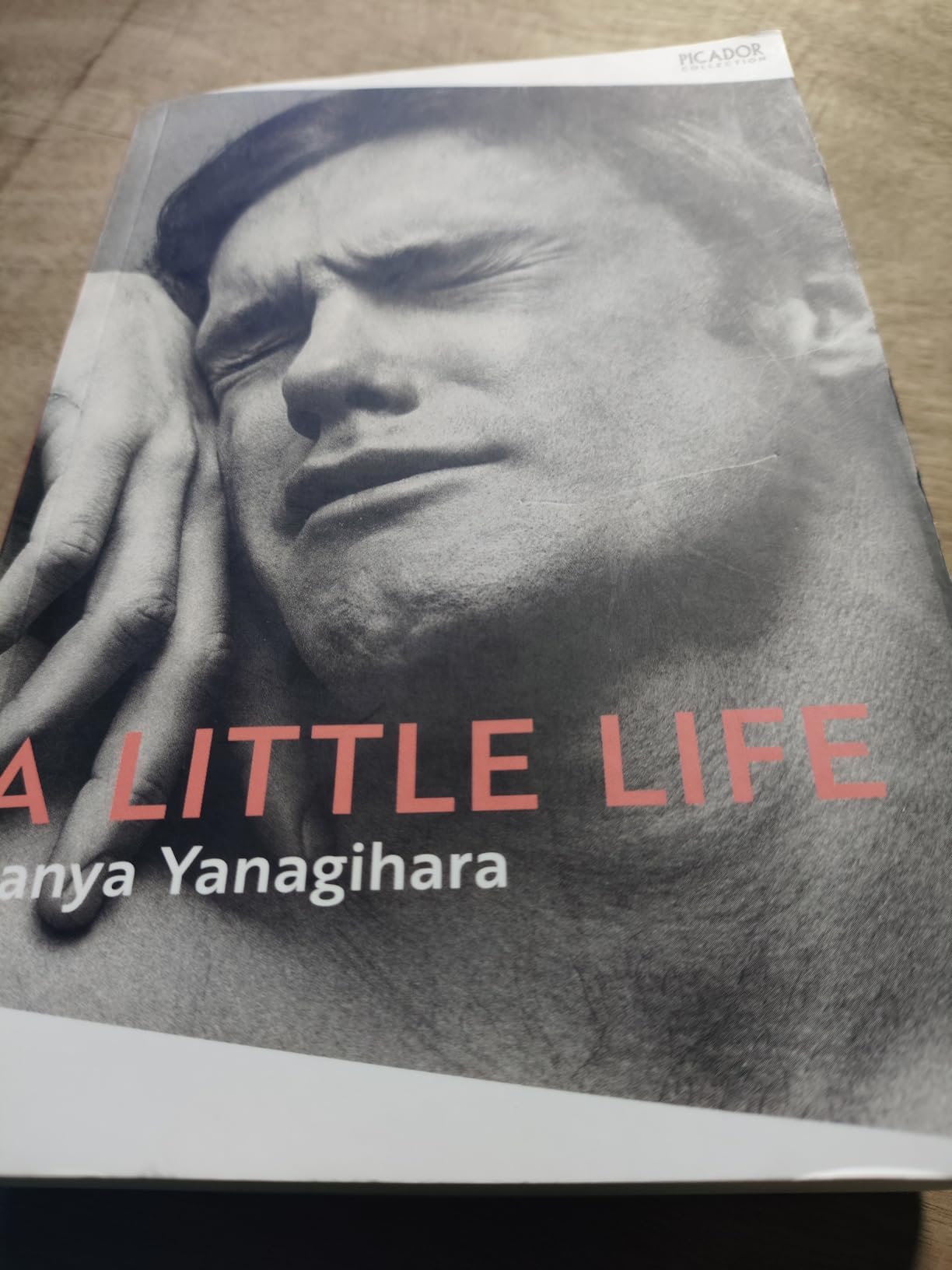 Buy A Little Life Book Online at Low Prices in India | A Little Life ...