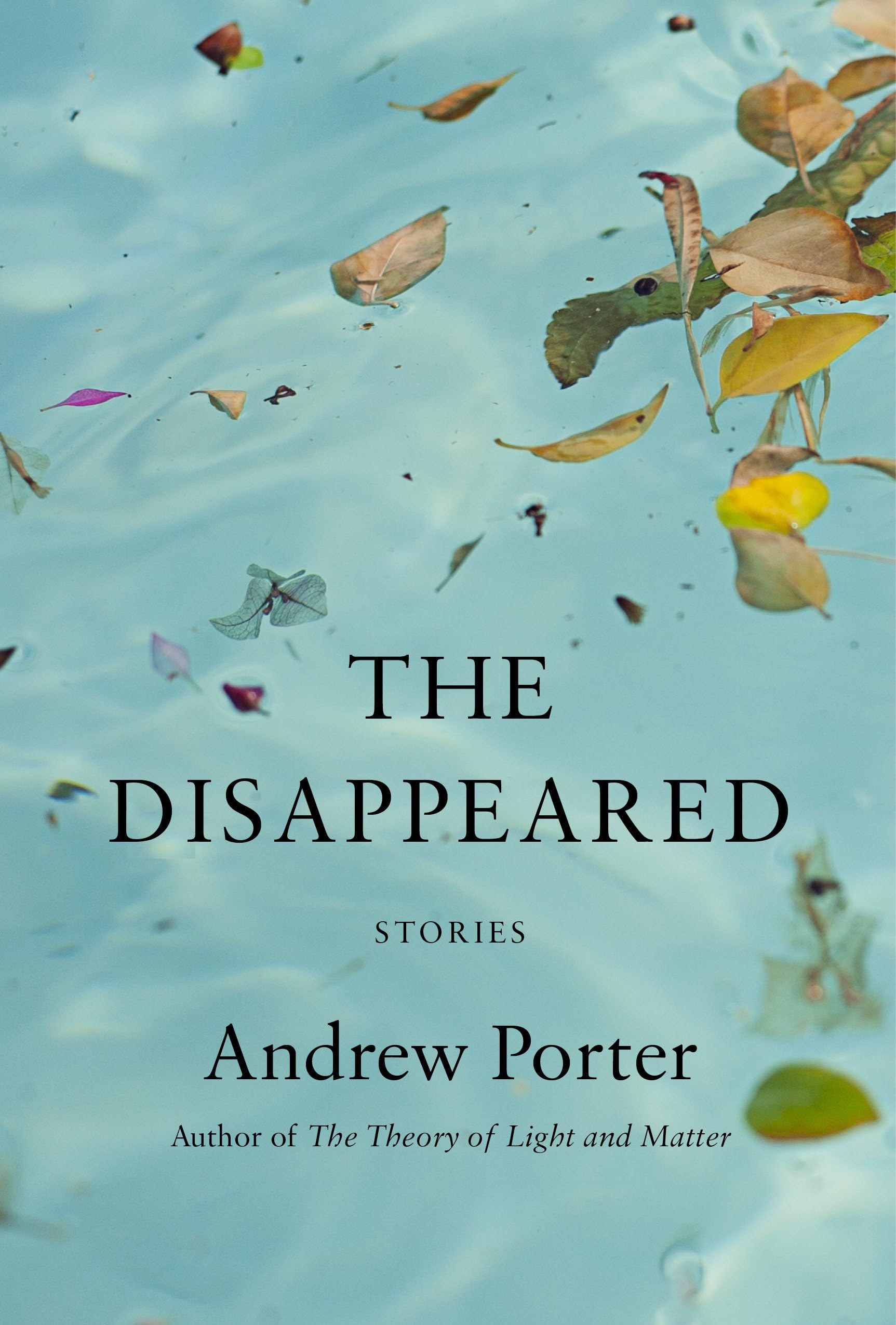 The Disappeared: Stories: Porter, Andrew: 9780593534304: Amazon.com: Books