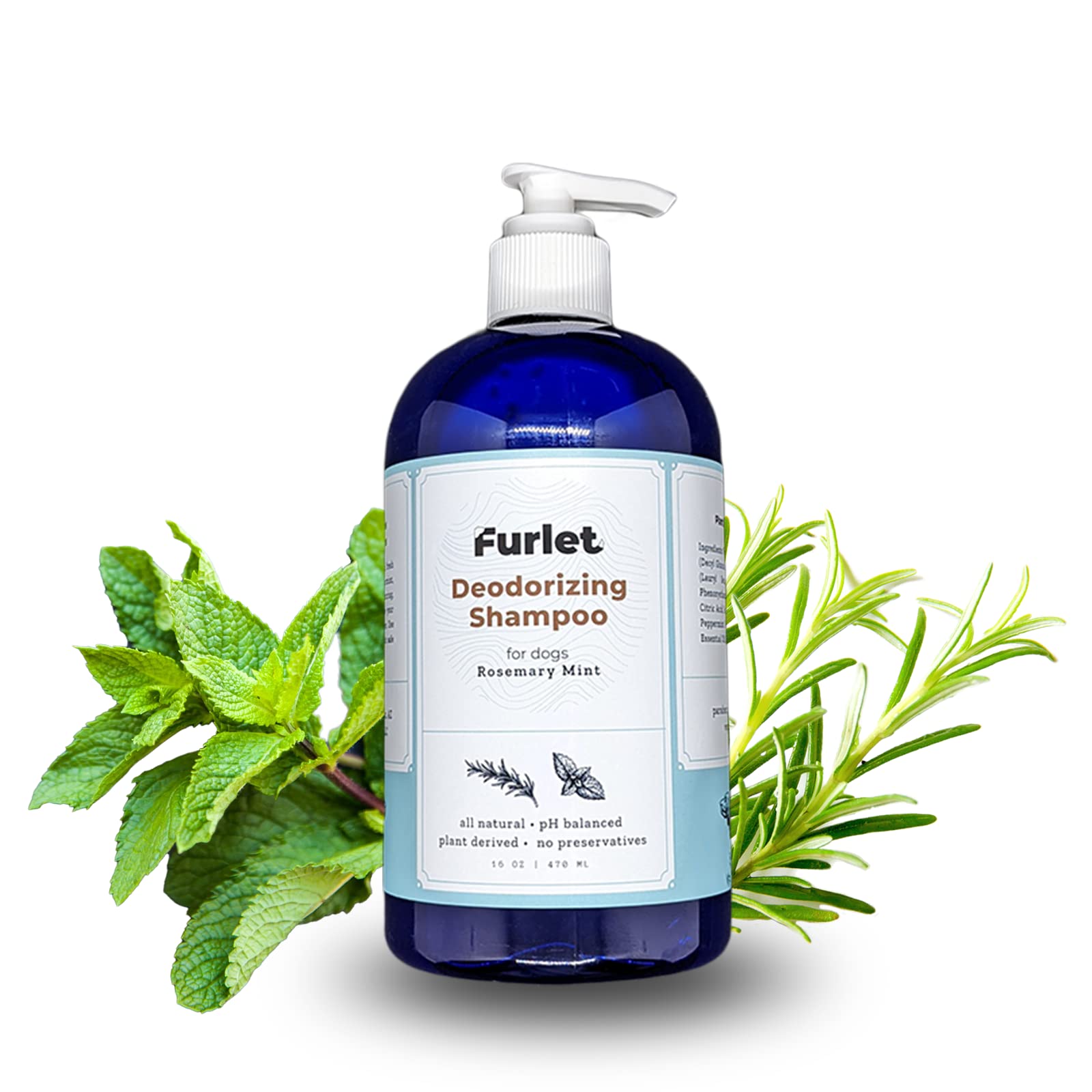 Are Rosmary And Mint Safe For Dogs
