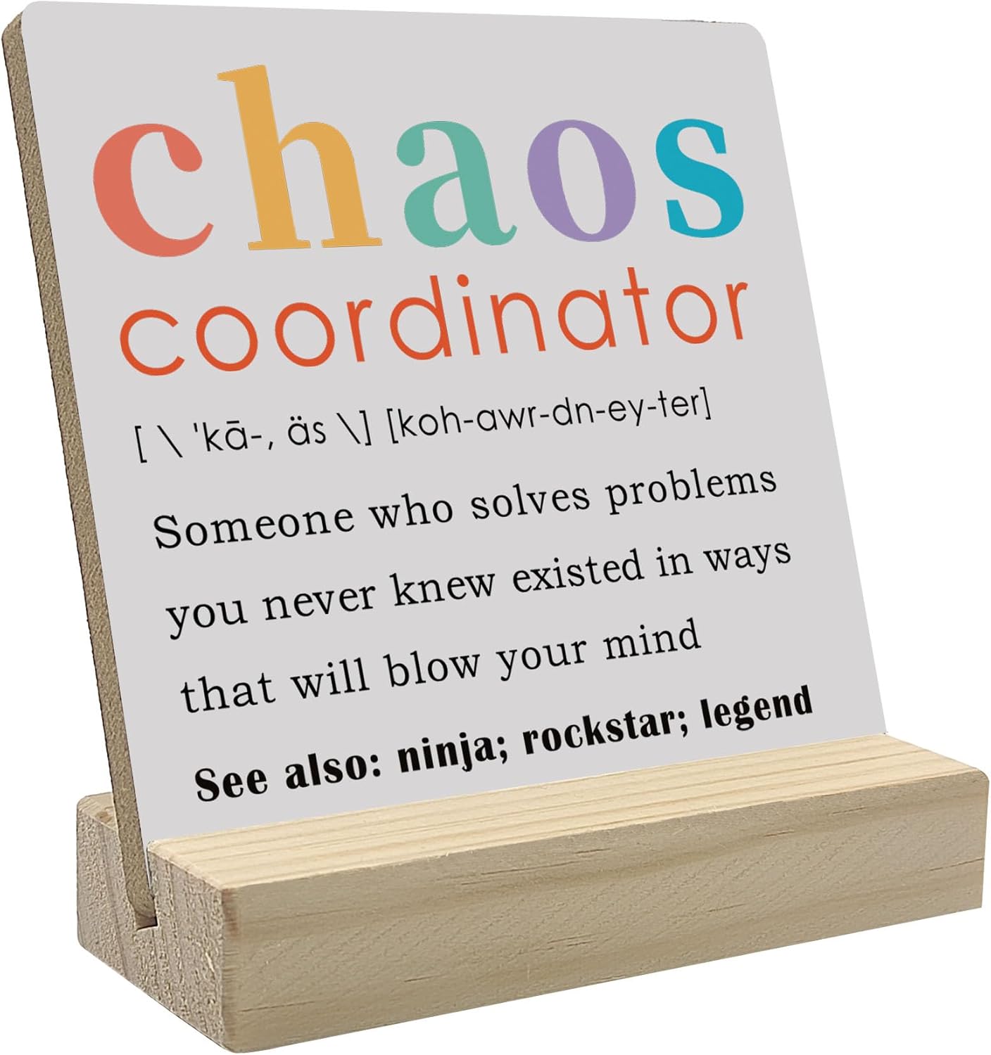 Amazon.com: Sunepany Funny Office Decor for Coworkers Boss Funny Office ...