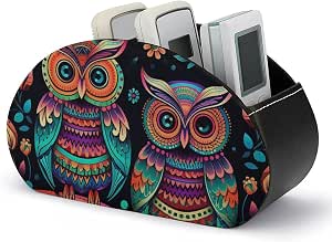 Rkklvbns Colorful Owl Pictures Remote Control Holder with 5 Compartment ...