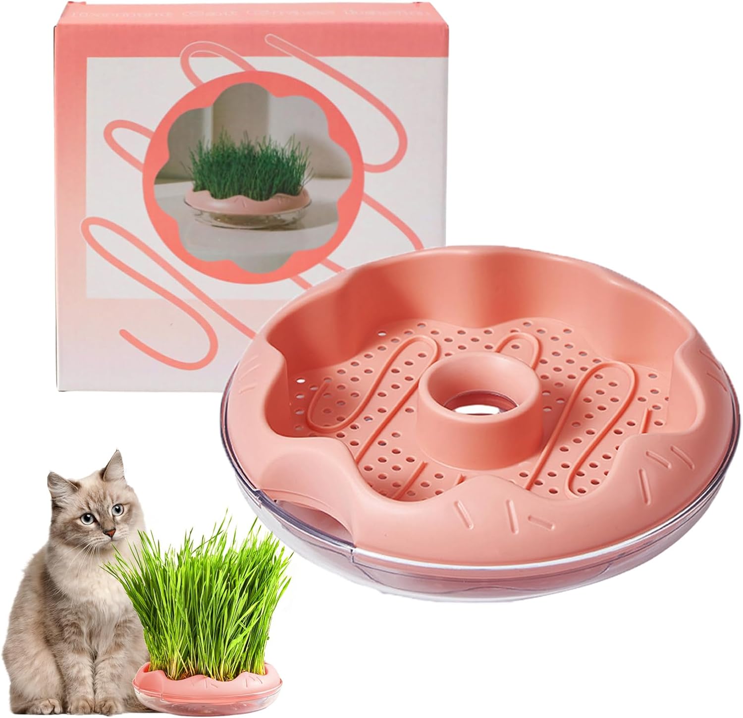 KASESSS Cat Grass Planter, Soil Free Hydroponic Cat Grass Tray, Round ...