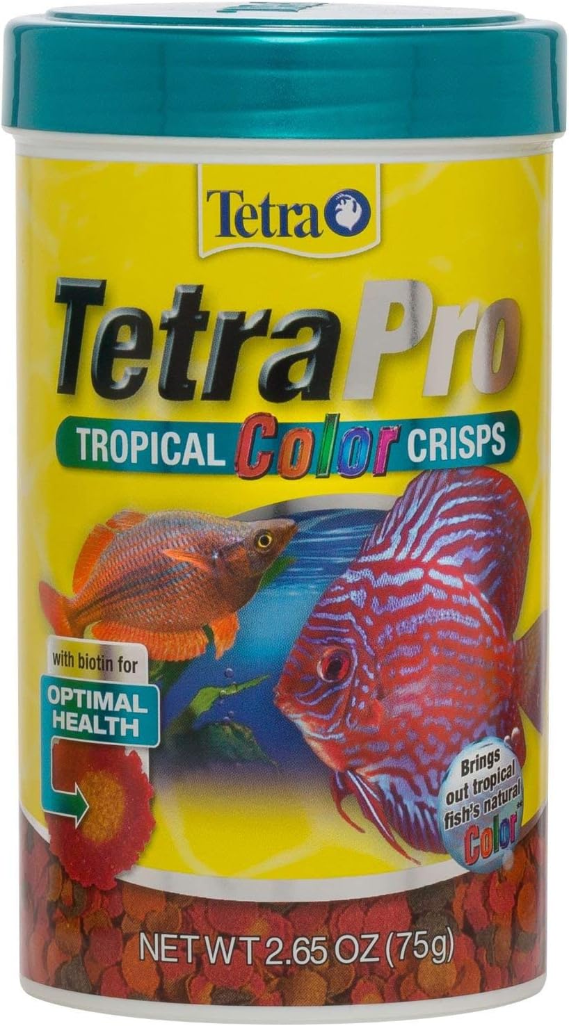 Tetra TetraMin Tropical Tablets para Peces con 48 Gramos : Amazon.com ...