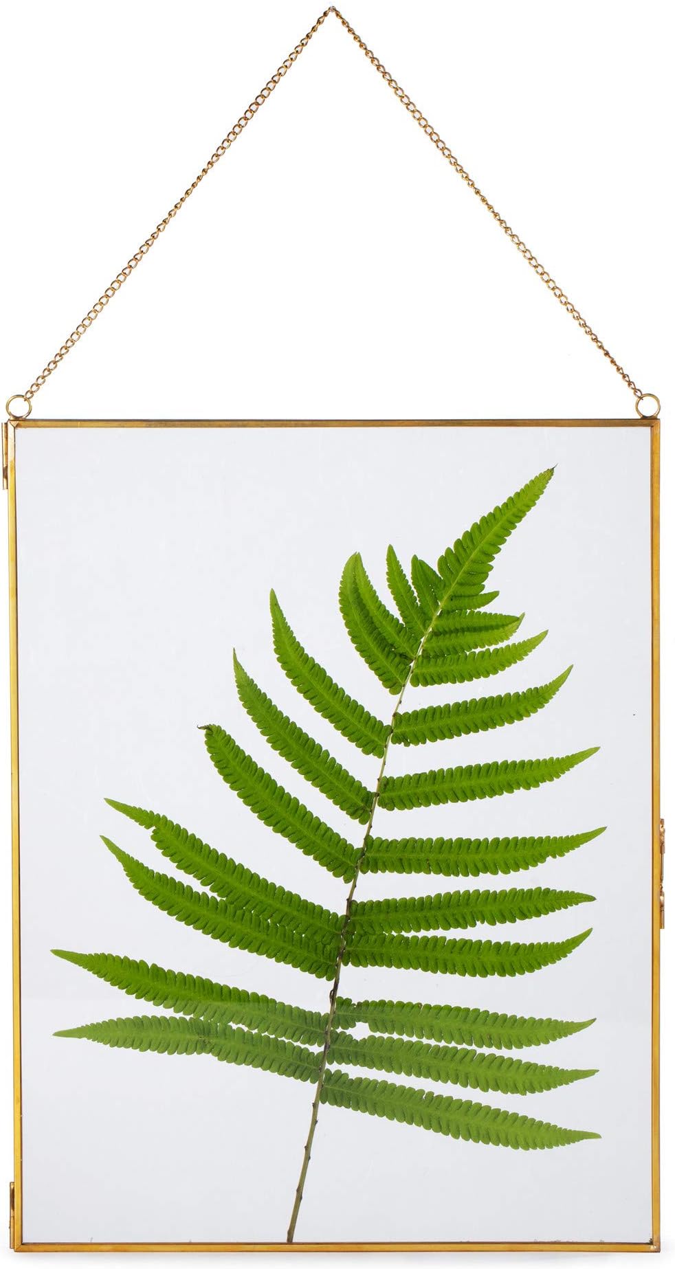 Amazon.com - Kendiis Glass Hanging Picture Frame,14x10.8 Gold Double ...