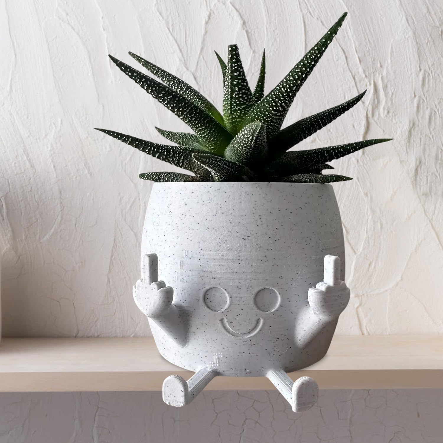 Amazon.com : Smiling Plant Pot with Fingers Up, Unique Succulent ...