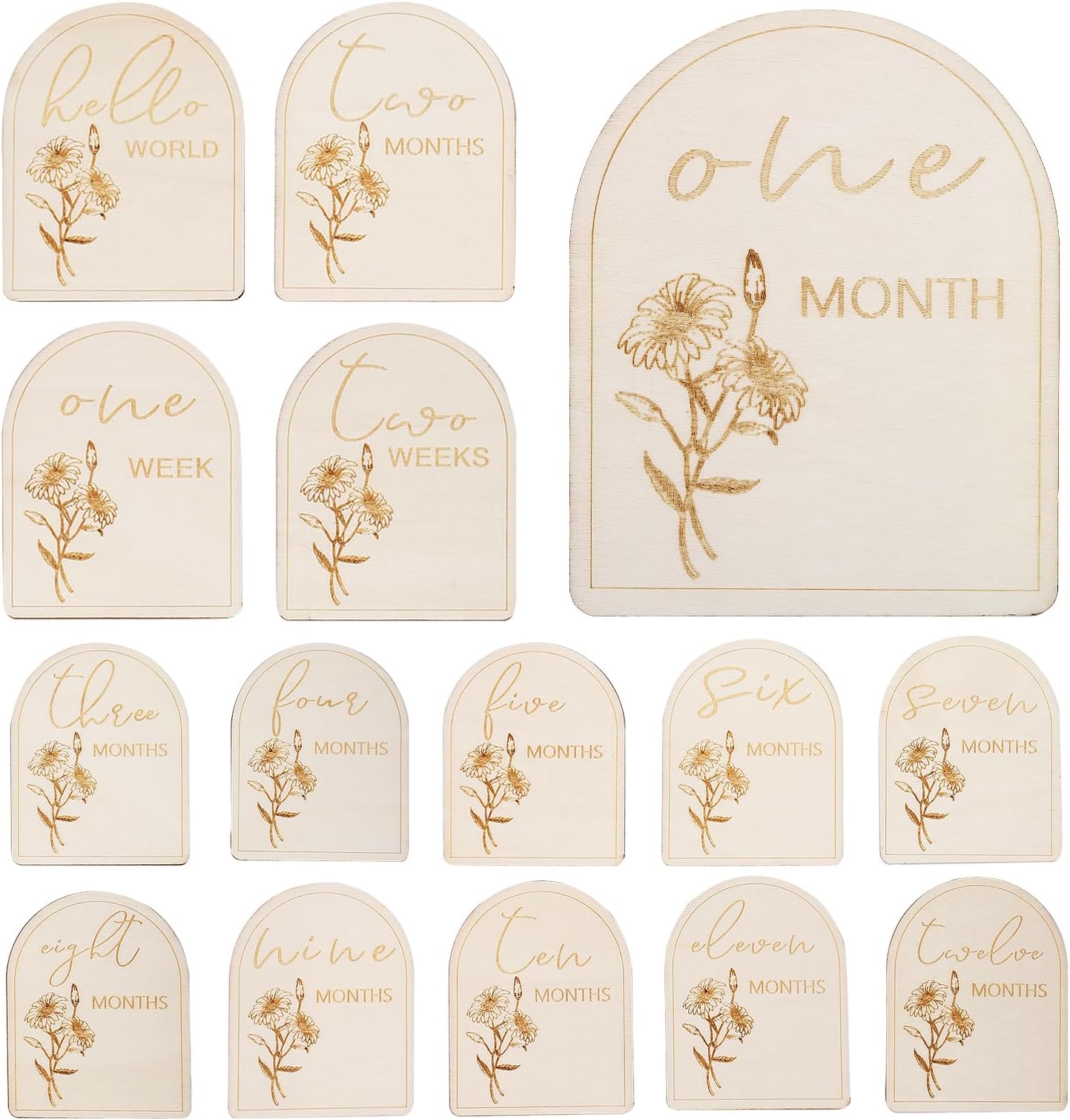 Amazon.com : Monthly Baby Milestone Signs - Baby Monthly Milestone ...