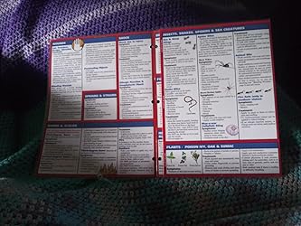 First Aid Laminated Reference Guide (QuickStudy Health): BarCharts Inc ...