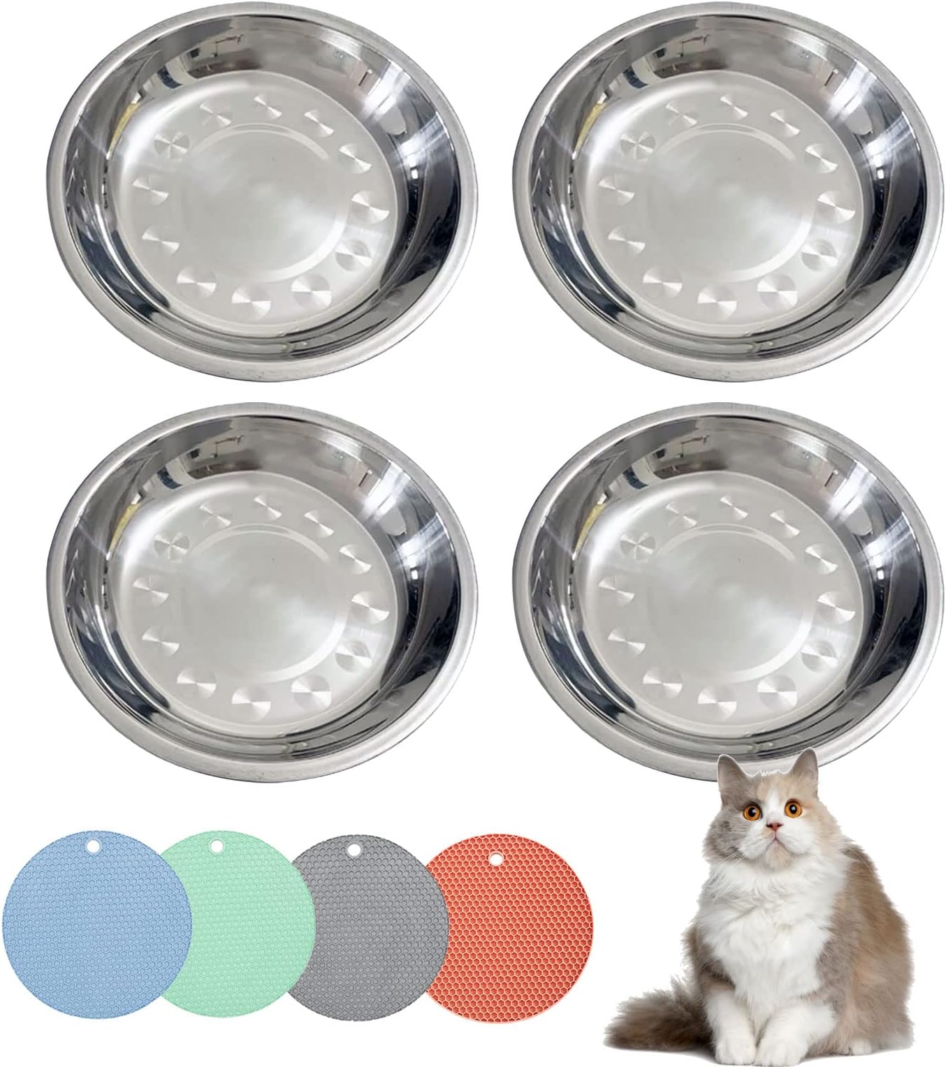 Amazon.com : RMNHPTK Stainless Steel Cat Bowls, Shallow Cat Food Bowl ...