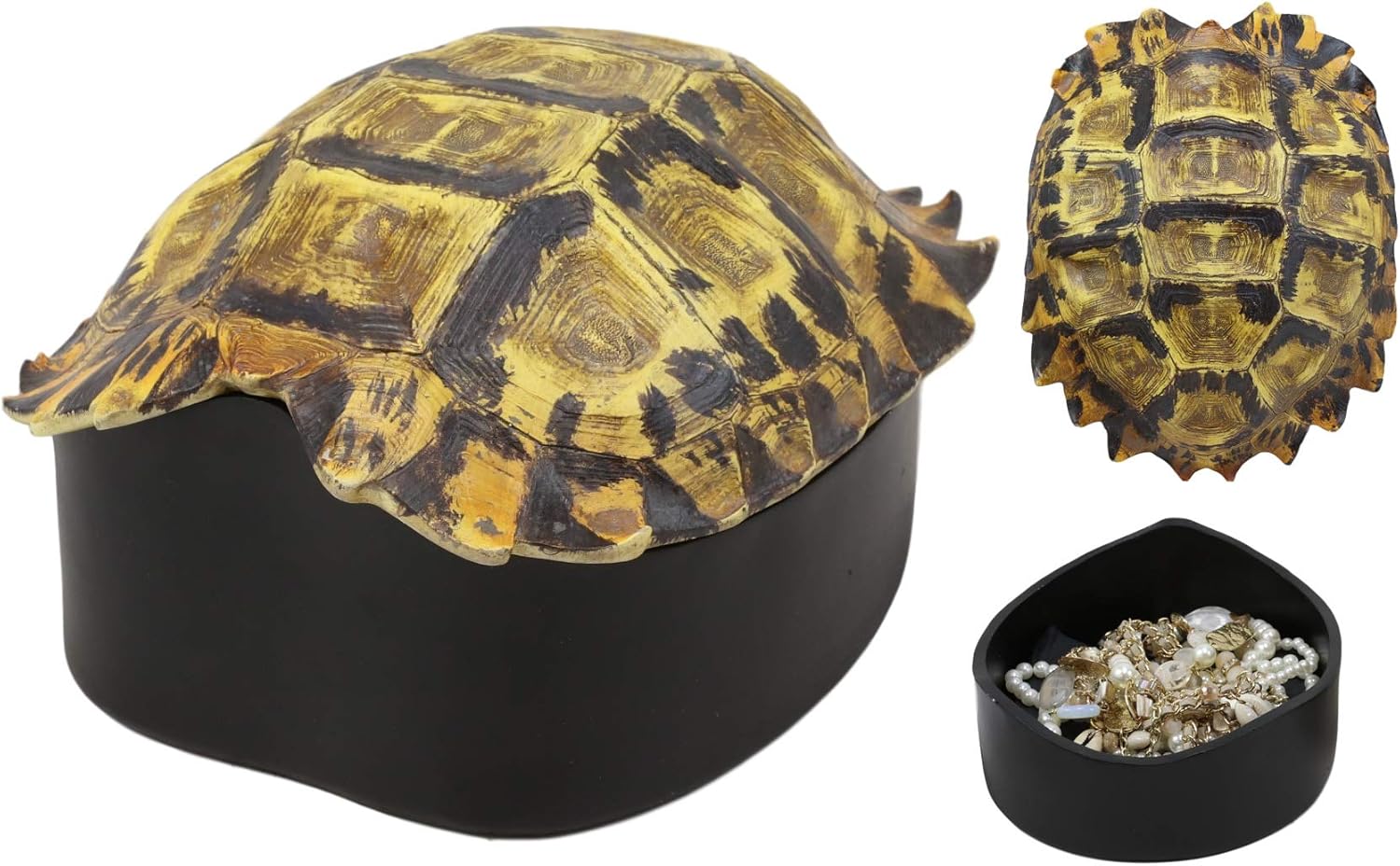 Amazon.com: Ebros Gift Nautical Reptile Realistic Elongated Tortoise ...