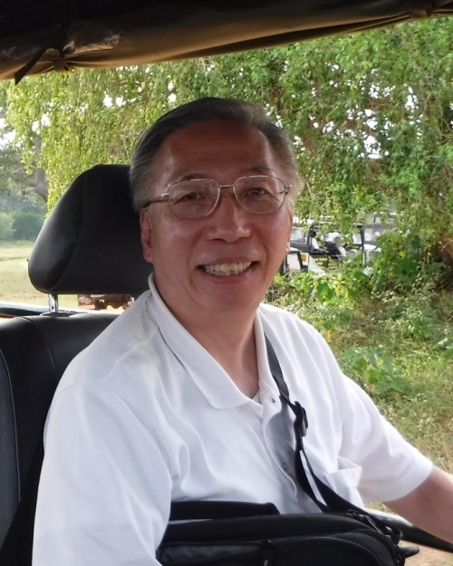 Amazon.it: Lu-Yen Chang: libri, biografia, ultimo aggiornamento