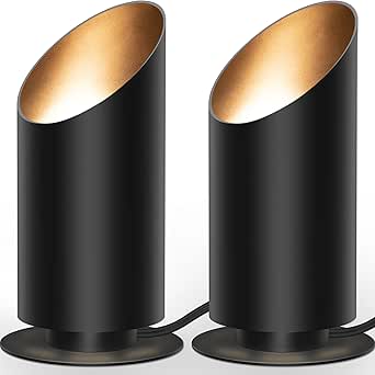 SUNVIE 2 Pack Uplighting Indoor Floor Can Light, Uplights Indoor Floor ...