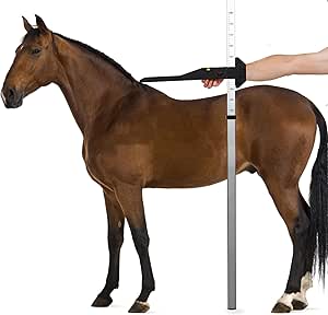 Amazon.com : Gtainsoil Aluminum Horse Measuring Stick for Height ...