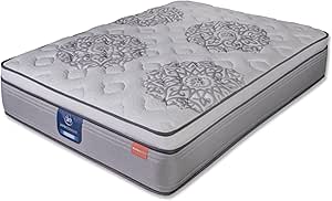 Amazon.com: Serta Extra Comfort Queen Size Mattress + Box Grey 100% ...