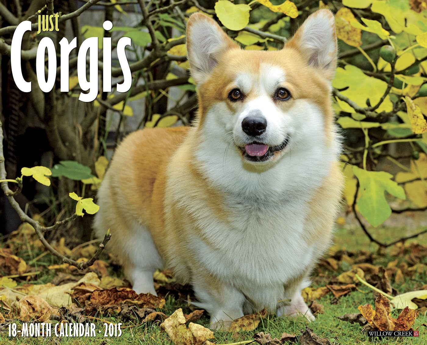 Just Corgis 2015 Wall Calendar: Willow Creek Press, Inc.: 0709786030873 ...