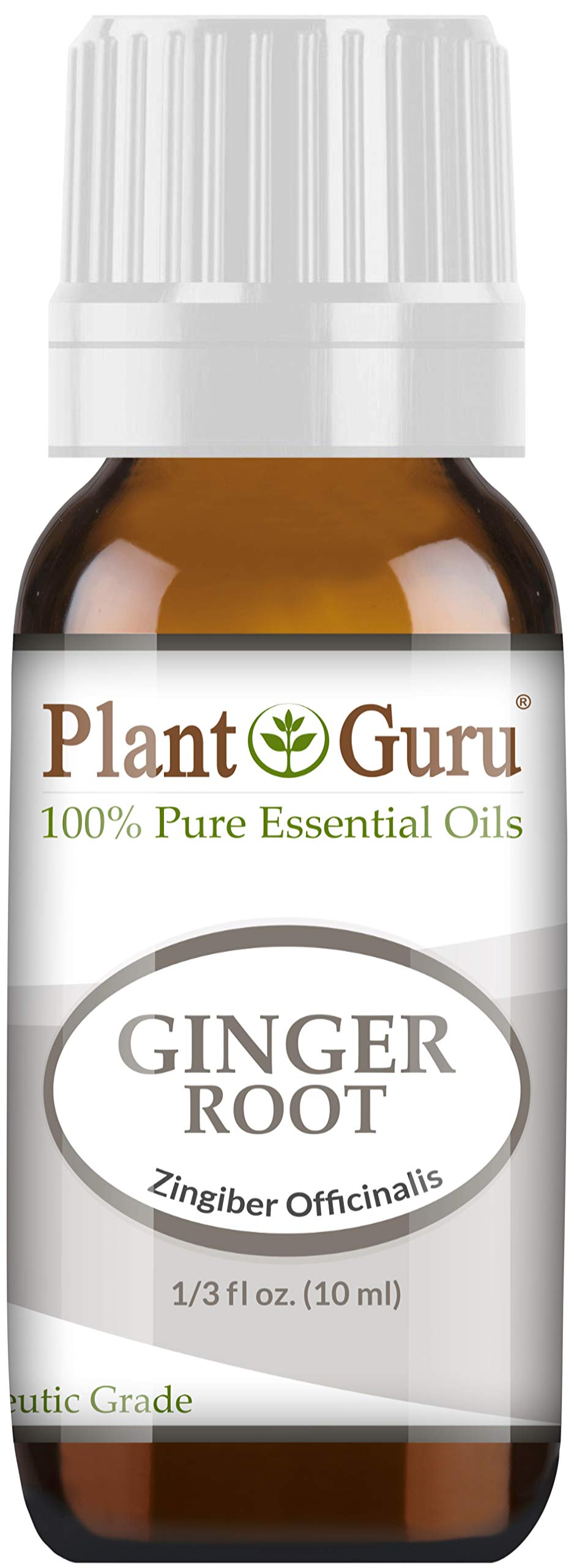 Amazon.com: Fresh Ginger (Root) Essential Oil 10 ml 100% Pure Undiluted ...