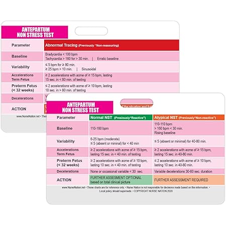 Amazon.com : APGAR Score Reference and Newborn Assessment Horizontal ...