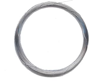Amazon.com: Sitar String Coil For Tarabh, Gauge 00, Roselu, Chikari ...