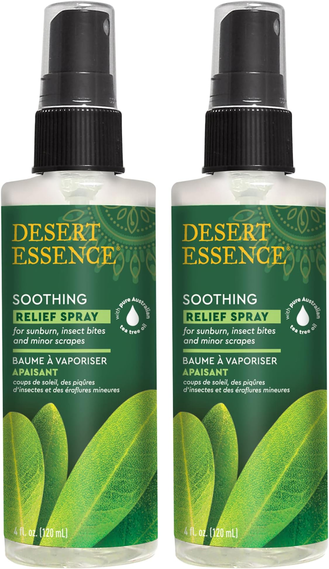 Amazon.com: Desert Essence Tea Tree Oil Skin Ointment Soothing Pure ...