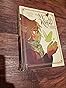 Amazon.com: The Moth Keeper: (A Graphic Novel): 9780593182260: O'Neill ...
