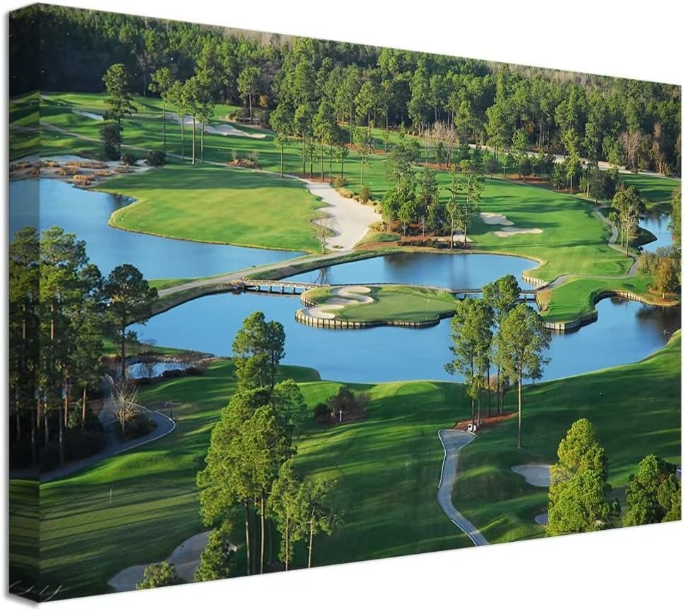 Amazon.com: King's North Golf Course Wall Art for Office Myrtle Beach ...