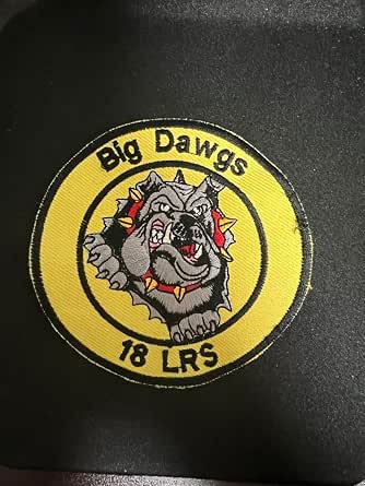Amazon.co.jp: 米軍 超貴重 実物 18 LRS ベルクロ無 : おもちゃ