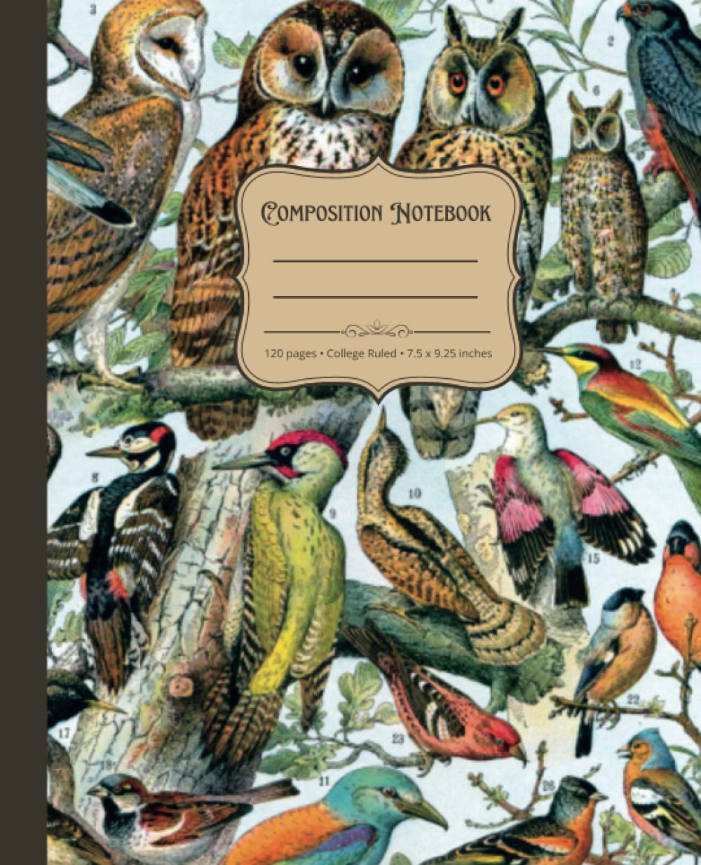 Free Printable Bird Watching Journal Pages - Ashley Yeo
