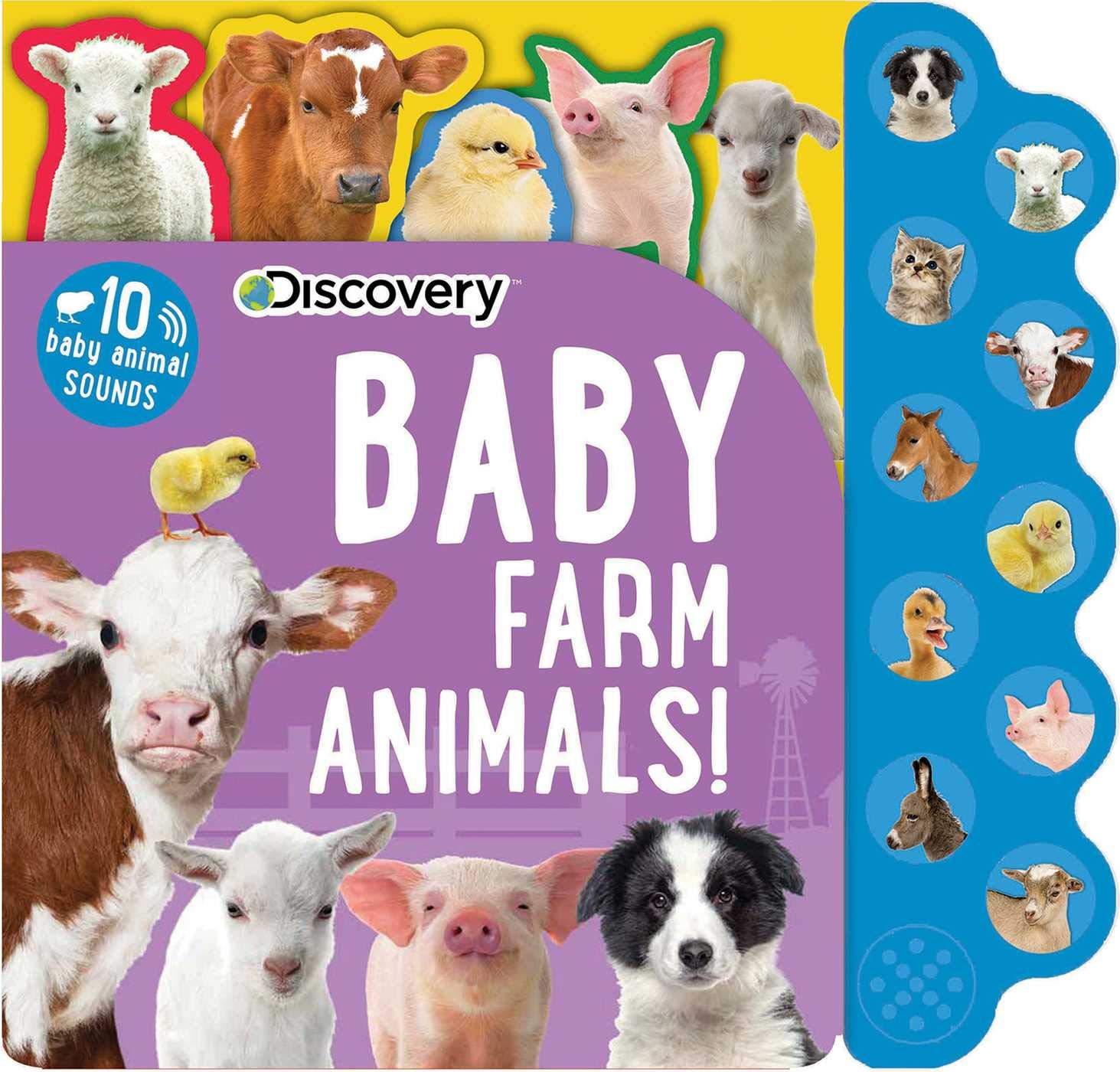 Amazon.com: Discovery: Baby Farm Animals! (10-Button Sound Books ...