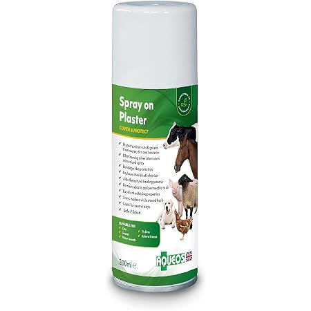 Leucillin Natural Antiseptic Spray | Antibacterial, Antifungal ...