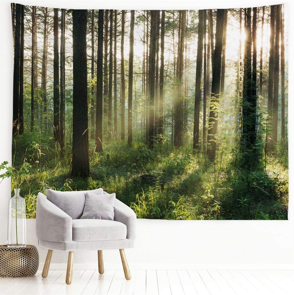 Amazon.com: Rain Forest (Green Trees, Panorama) Art Poster Print ...