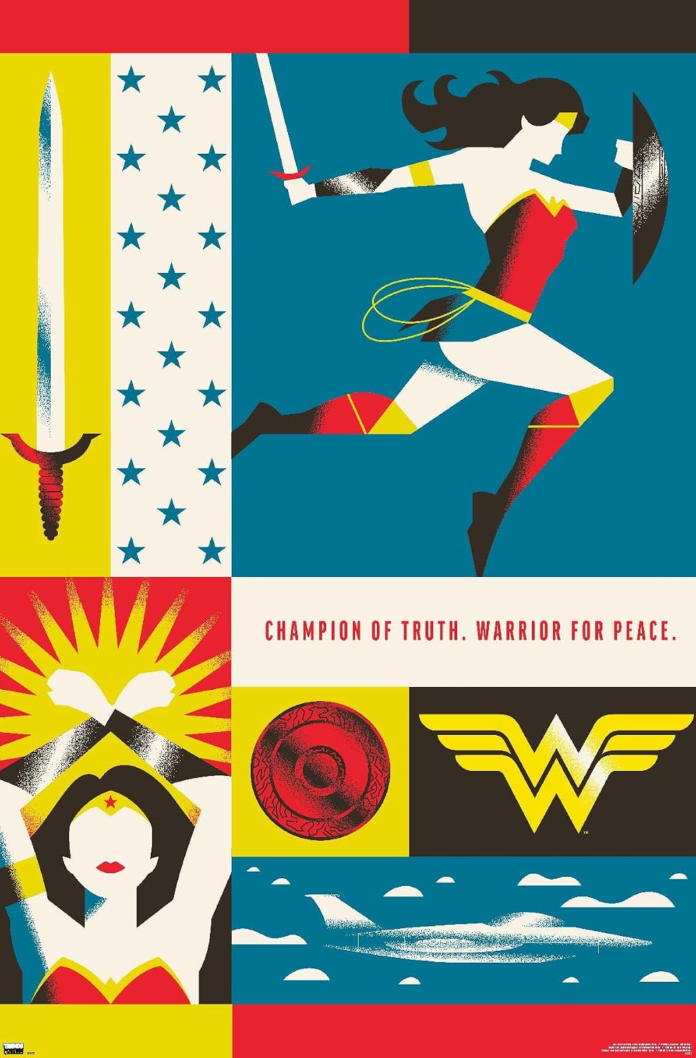 Amazon.com: Trends International Warner 100th Anniversary - Wonder ...