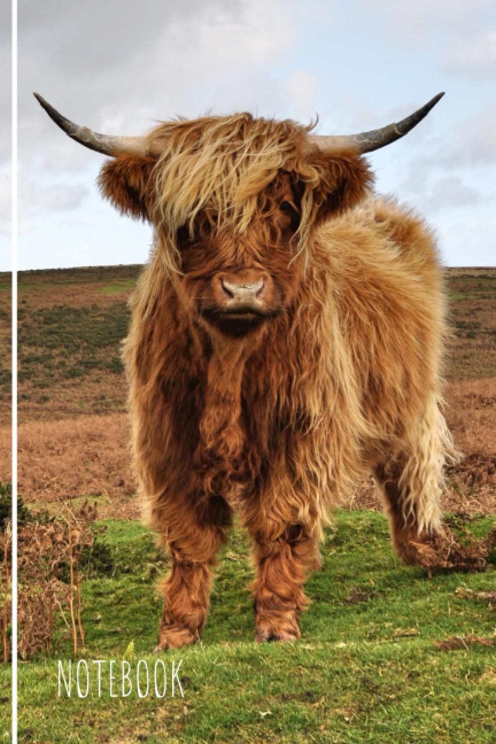 Highland Cow Notebook: Cute Highland Cow Lined Journal, The Perfect ...