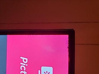 Amazon.com: LG C9 Series Smart OLED TV - 65" 4K Ultra HD with Alexa ...