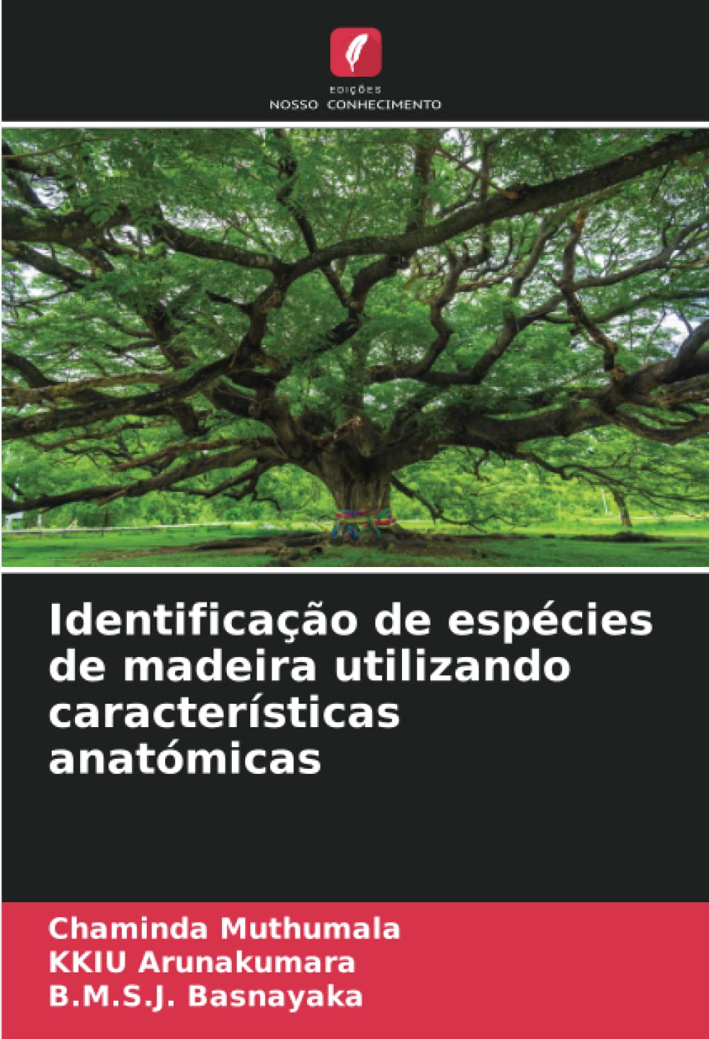 Identificação de espécies de madeira utilizando características ...