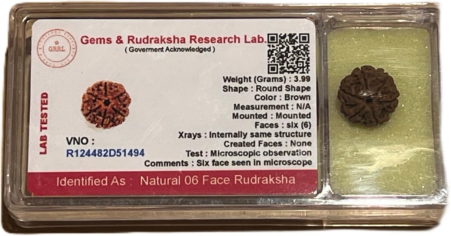 Amazon.com: Certified 6 Mukhi Rudraksha Bead, Six Faces Rudraksh, Libra ...