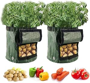 Amazon.com : HSHGZSR 2 Pack Potato Grow Bags 10 Gallon Potato Growing ...