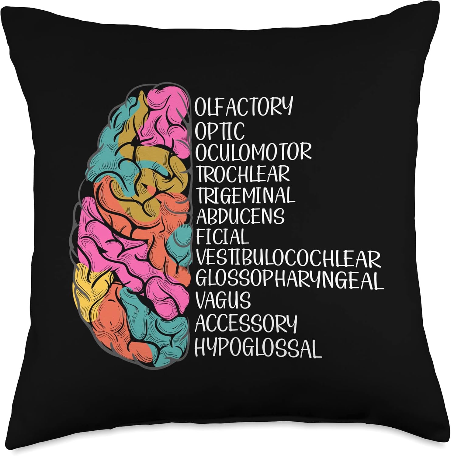 Amazon.com: SLP Cranial Nerves Speech Therapy Cool Neurology Brain Art ...