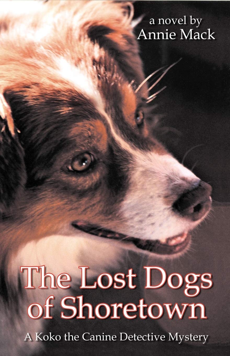 How Can I Find My Lost Dog Fast