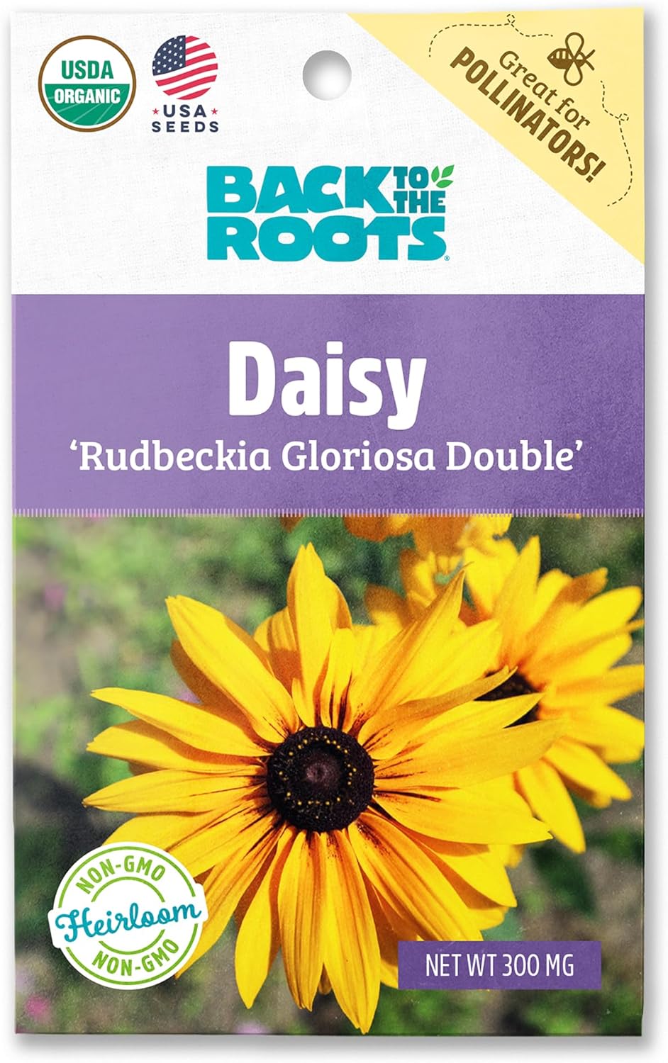 Amazon.com : Back to The Roots 100% Organic Seed Packet - Daisy ...