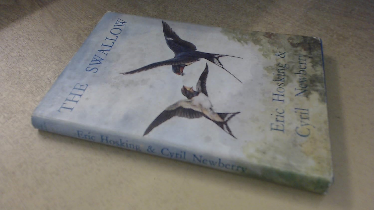 THE SWALLOW.: Hosking, Eric & Newberry, Cyril: Books - Amazon.ca