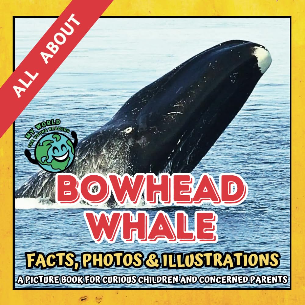 Amazon | All about Bowhead Whale | Facts, Photos and Illustrations: A ...