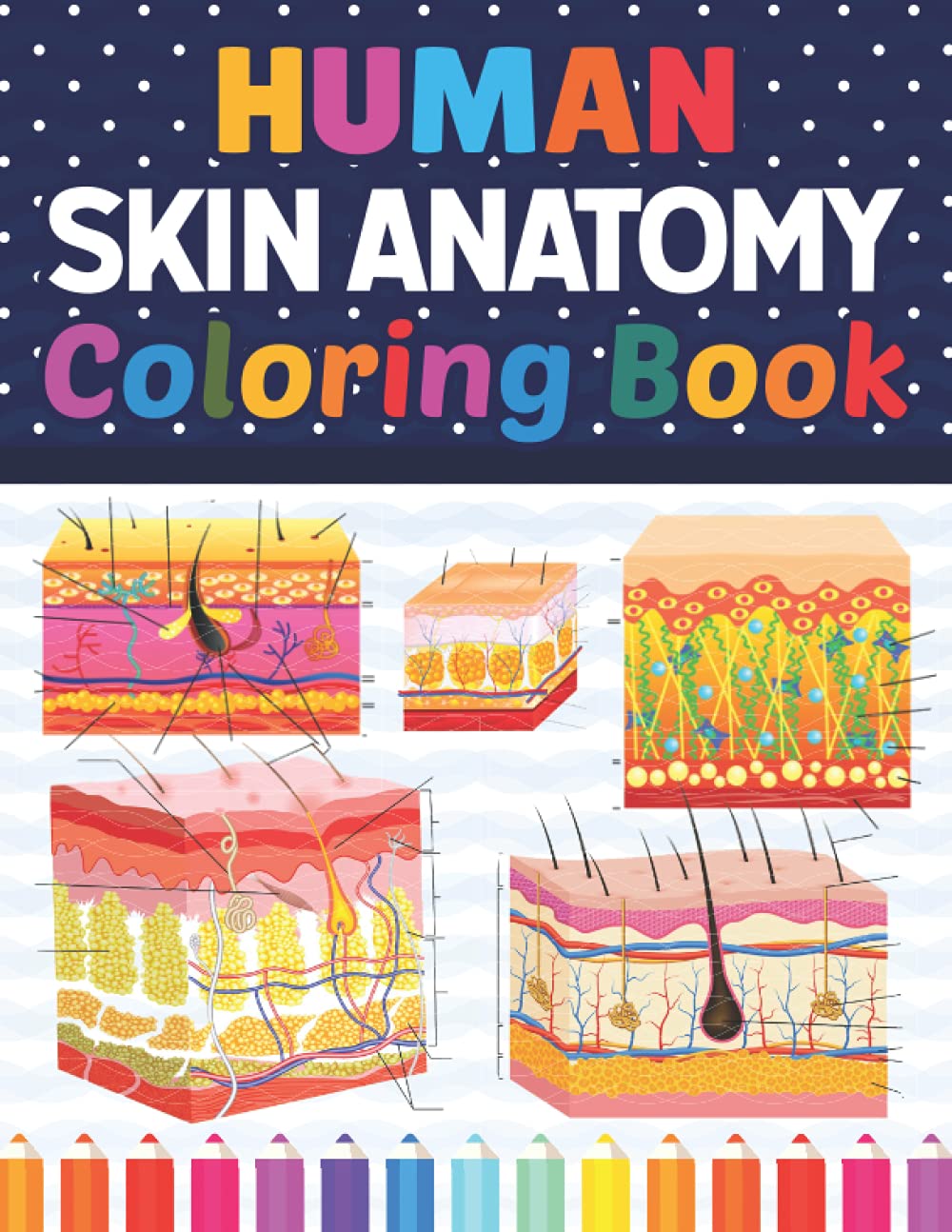 Human Skin Anatomy Coloring Book: Human Skin and Human Anatomy Learning ...