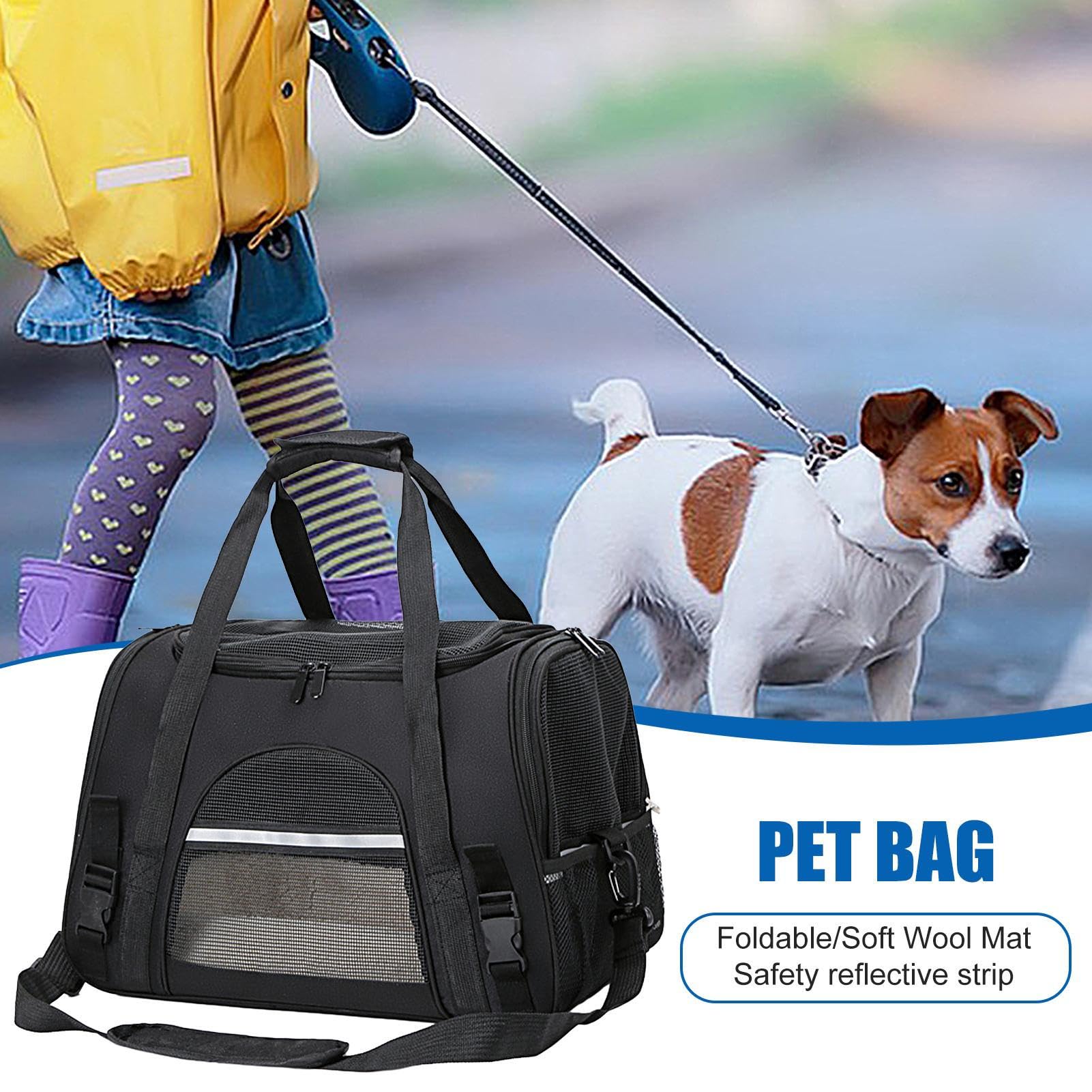 Small Suitcase For Pets The 11 Best Airline Approved Pet Carriers