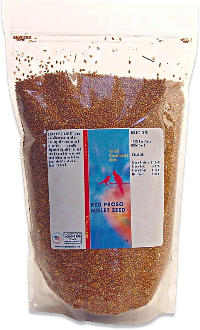 Amazon.com : Morning Bird Red Proso Millet Seed, Healthy Bird Food ...