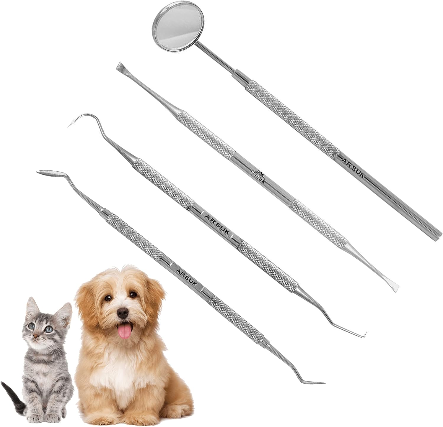 Amazon.com : ARSUK Dog Teeth Cleaning Tool Kit for Removing Plaque ...