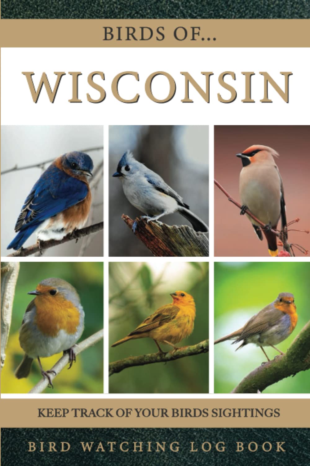 Bird Watching Log Book In Wisconsin: A Bird Watching & Tracking Journal ...
